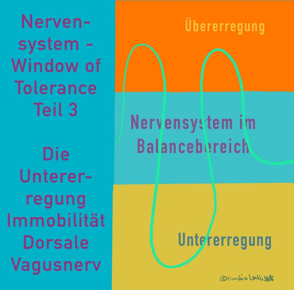 Nervensystem Teil 3 - Untererregung - Dorsaler Vagus - Immobilität ...